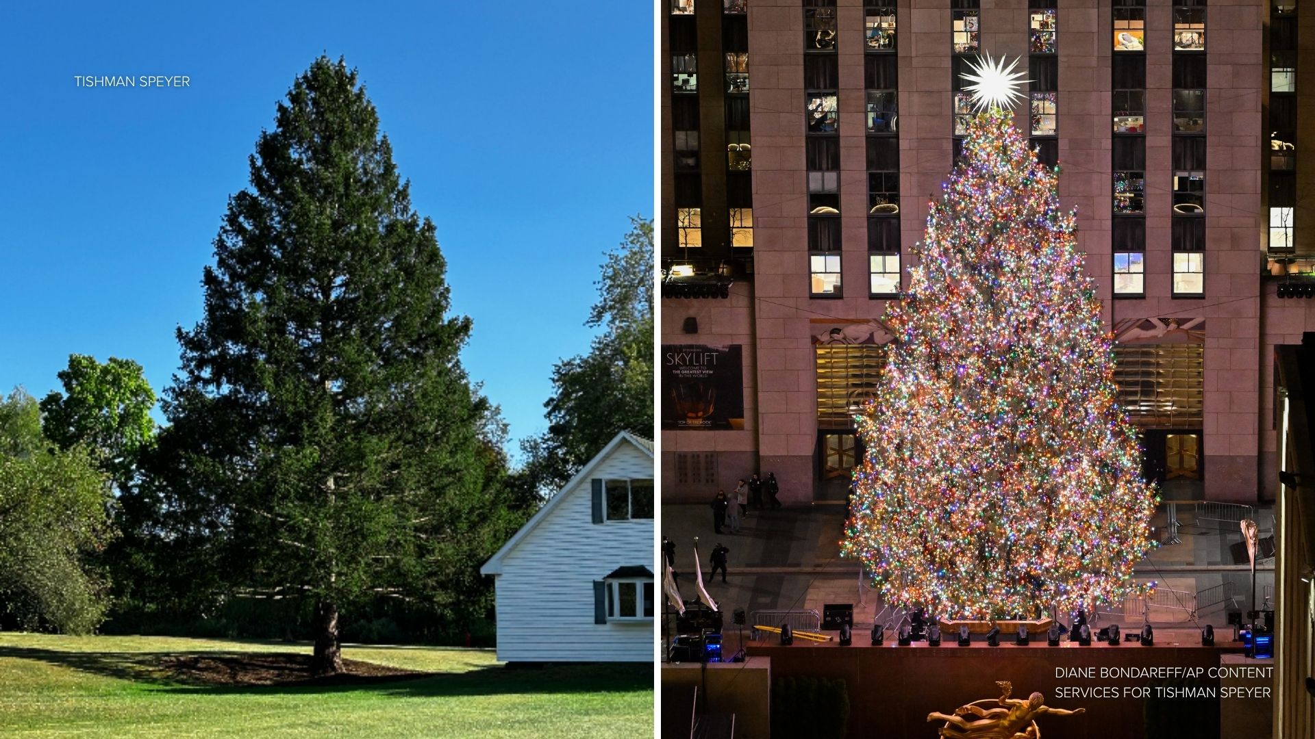 Rockefeller Center reveals 2025 Christmas tree from family in East ...