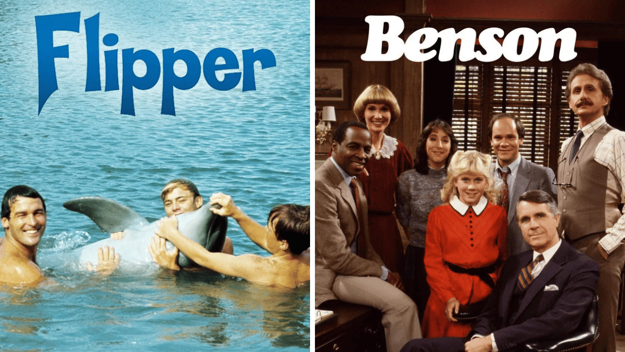 22 Old-School TV Shows With Memorable One-Word Titles