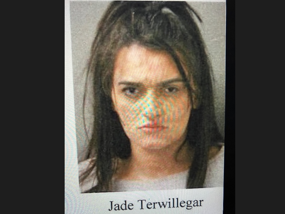 3 Suspects Nabbed After Police Arrived Mid-Burglary, According To ...