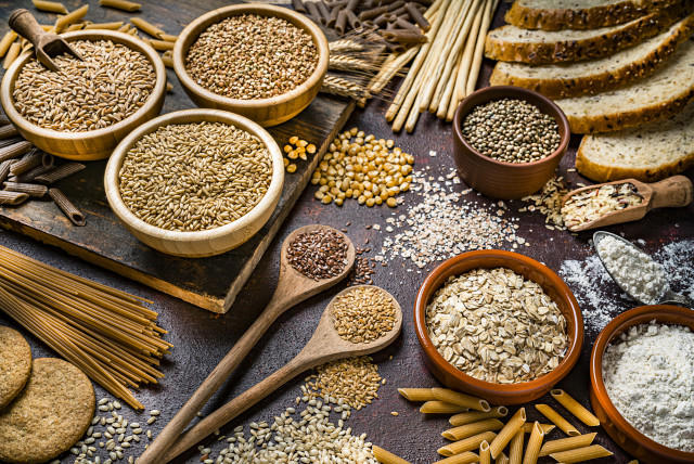 ¿Busca más proteínas? Un epidemiólogo explica por qué no debería ...
