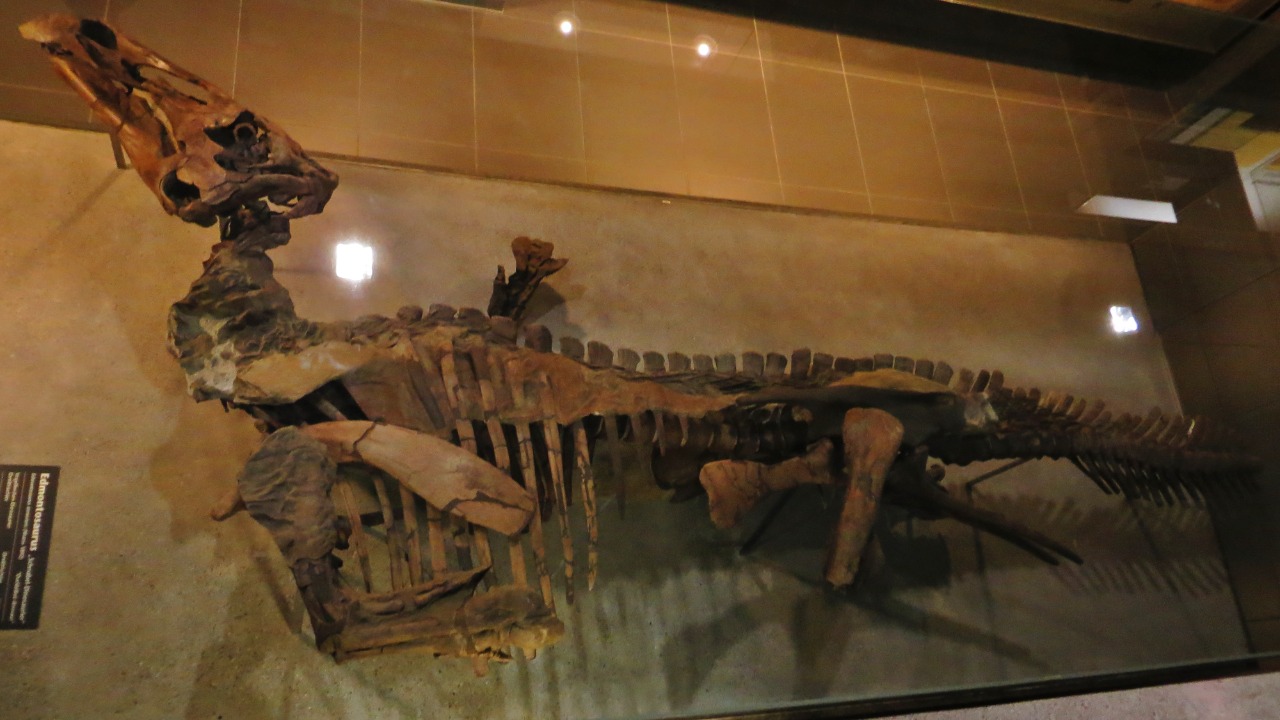 Dinosaur mummies reveal what they really looked like