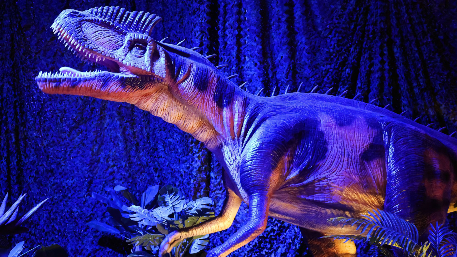 Canadian Dinosaur Species Found Nowhere Else On Earth