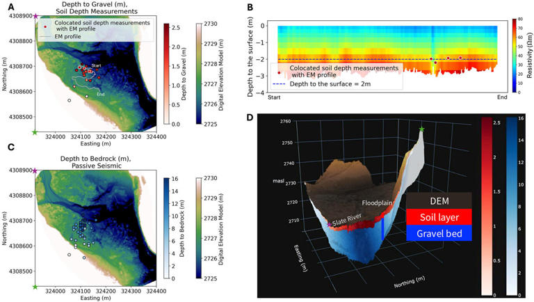 How beavers impact ecosystems above and below ground