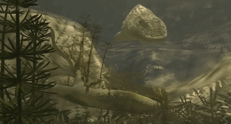 What If You Lived in the Paleozoic Era?