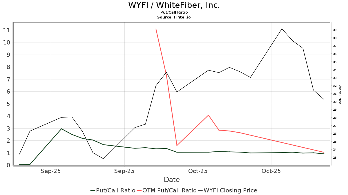 B Riley Securities maintains WhiteFiber (WYFI) buy recommendation