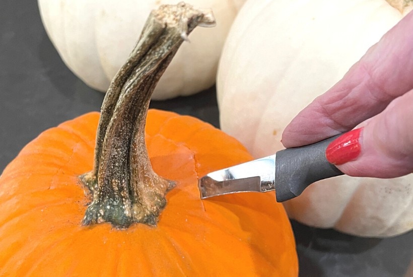 Don't Forget to Save Your Pumpkin Stems!