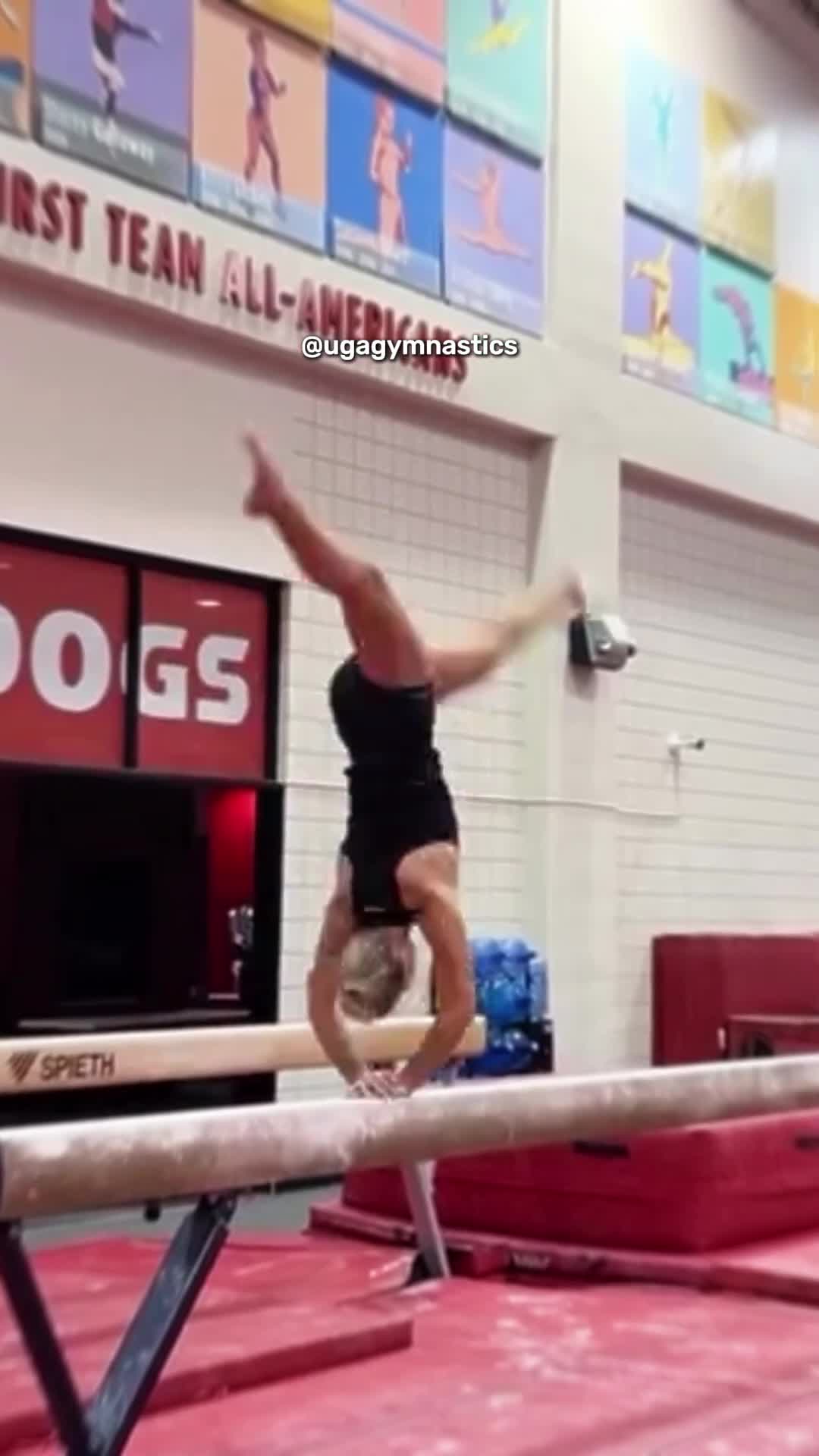 Solid series from Holly