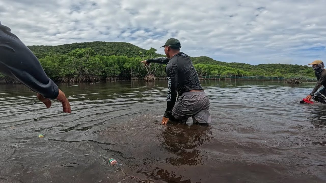 The fish just keep coming and they’re everywhere!