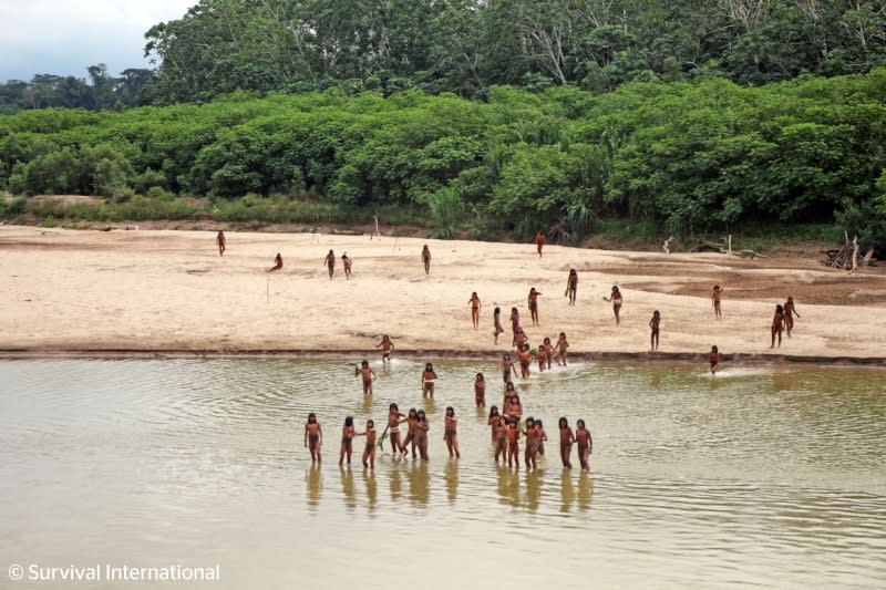 'Silent Genocides' Could Wipe Out 100 Groups in 10 Years