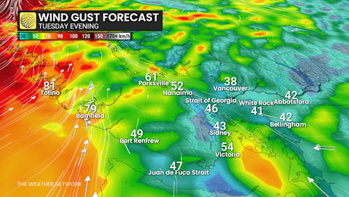 Storm on deck for B.C. could swing through with impactful winds, alpine ...