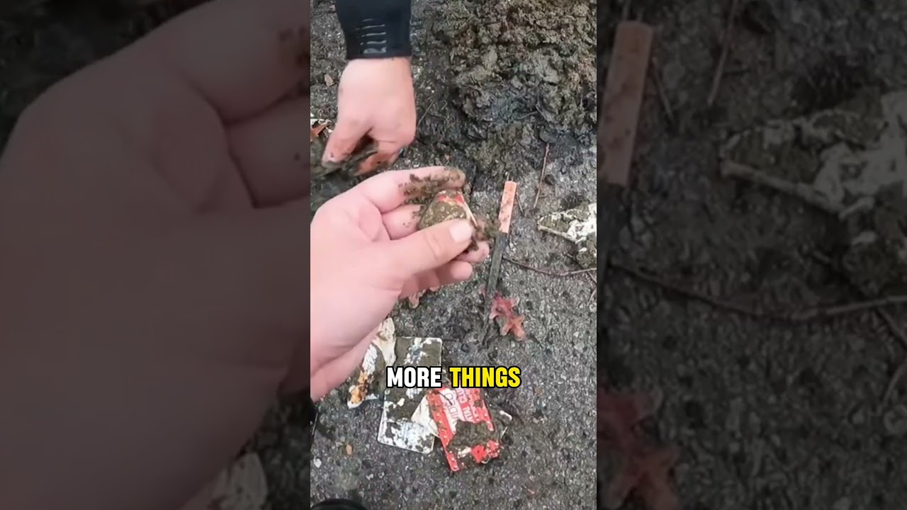 I discovered a buried treasure while diving! 🏴‍☠️