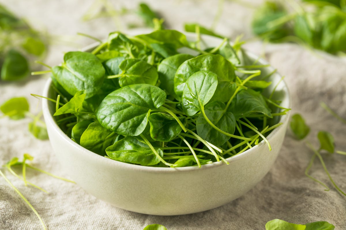 Experts Agree: This Is The Healthiest Vegetable In The World