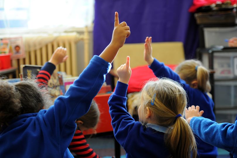 Petition for second primary school in Wynyard passes 1,000 signatures ...