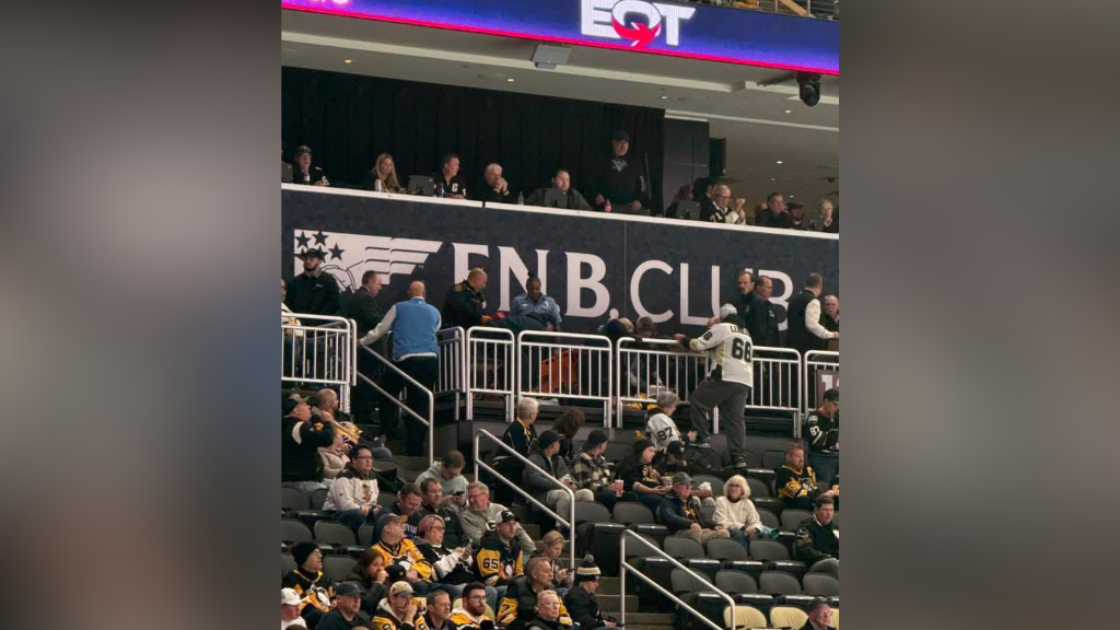 Fan falls from stands at Pittsburgh's PPG Paints Arena during Penguins ...