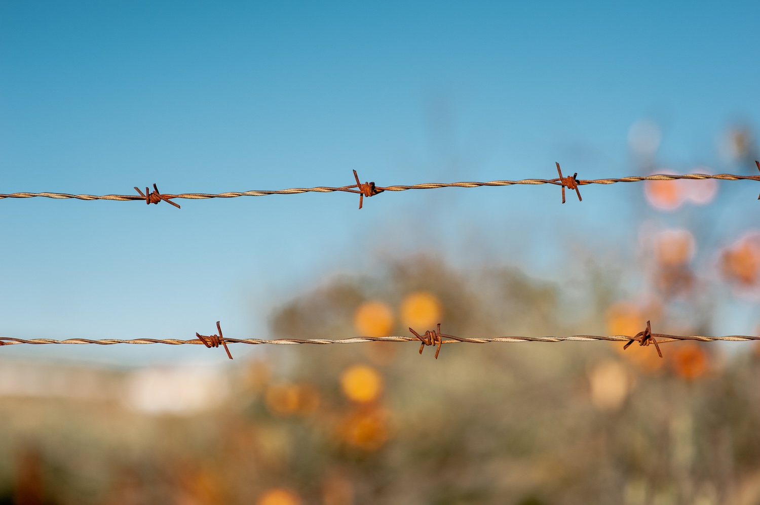 Investigation: ID women in prison 'guarded by predators'