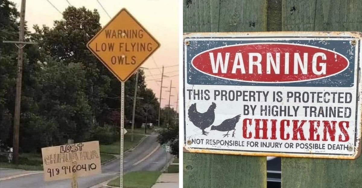 20 Warning Signs That Failed Miserably at Their Job