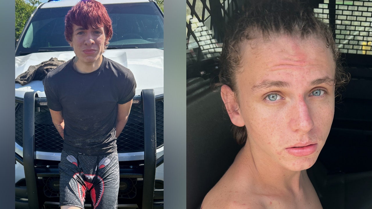 Florida K-9s catch suspects swimming from crashed stolen car with ski ...