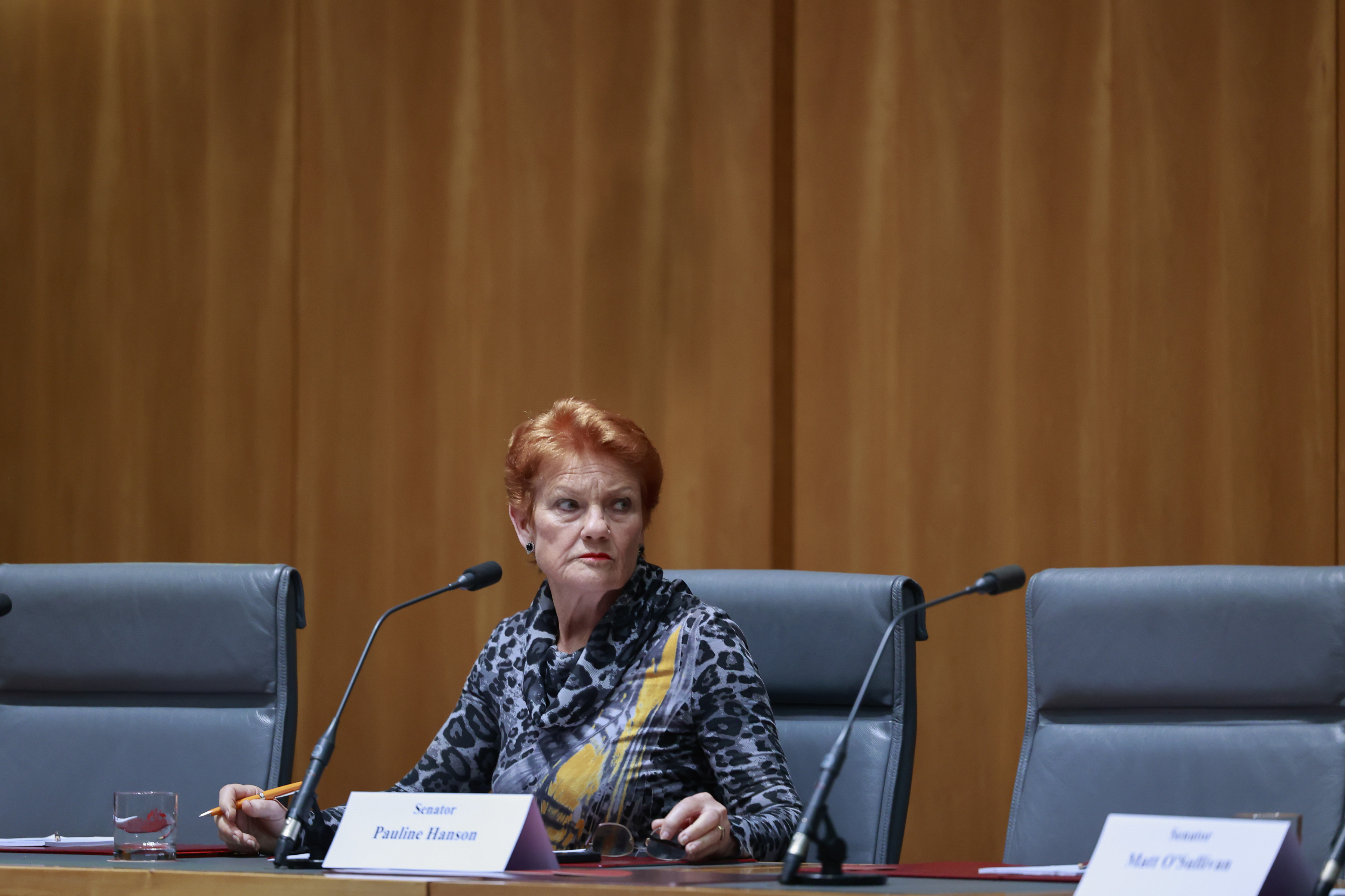 Pauline Hanson changes party name as polling support surges