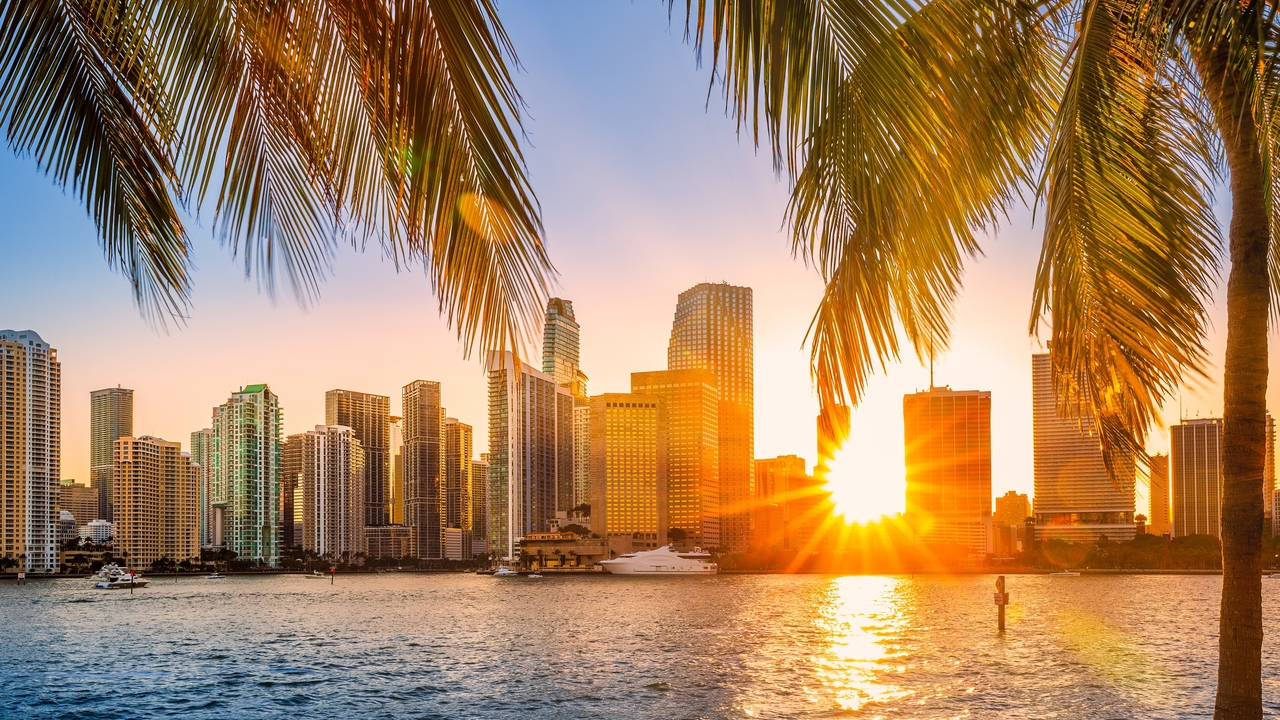 Discover Miami’s best art, food and culture spots