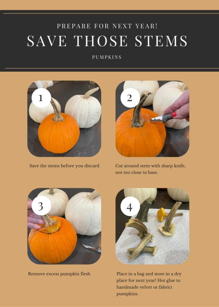 Don’t Forget to Save Your Pumpkin Stems!