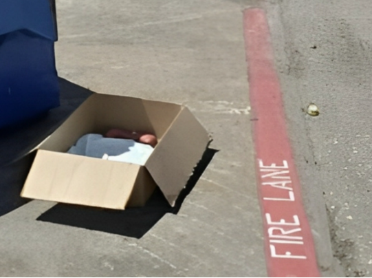 Texas Woman Spots A Cardboard Box Near A Dumpster And You Won’t Believe ...