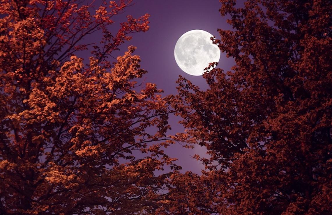 Ready to see a rare ‘blue micromoon’ peak over Illinois? Here’s when to ...