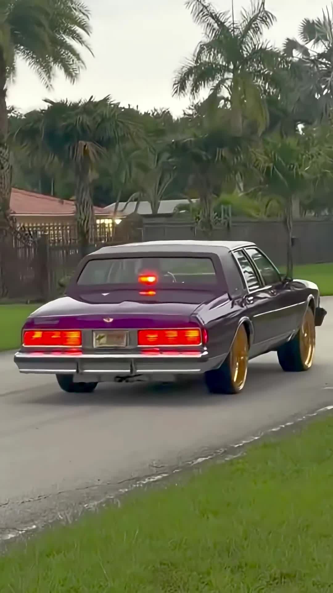 Miami-built Chevy box on gold 24’s Daytons now belongs to Dallas TX ...