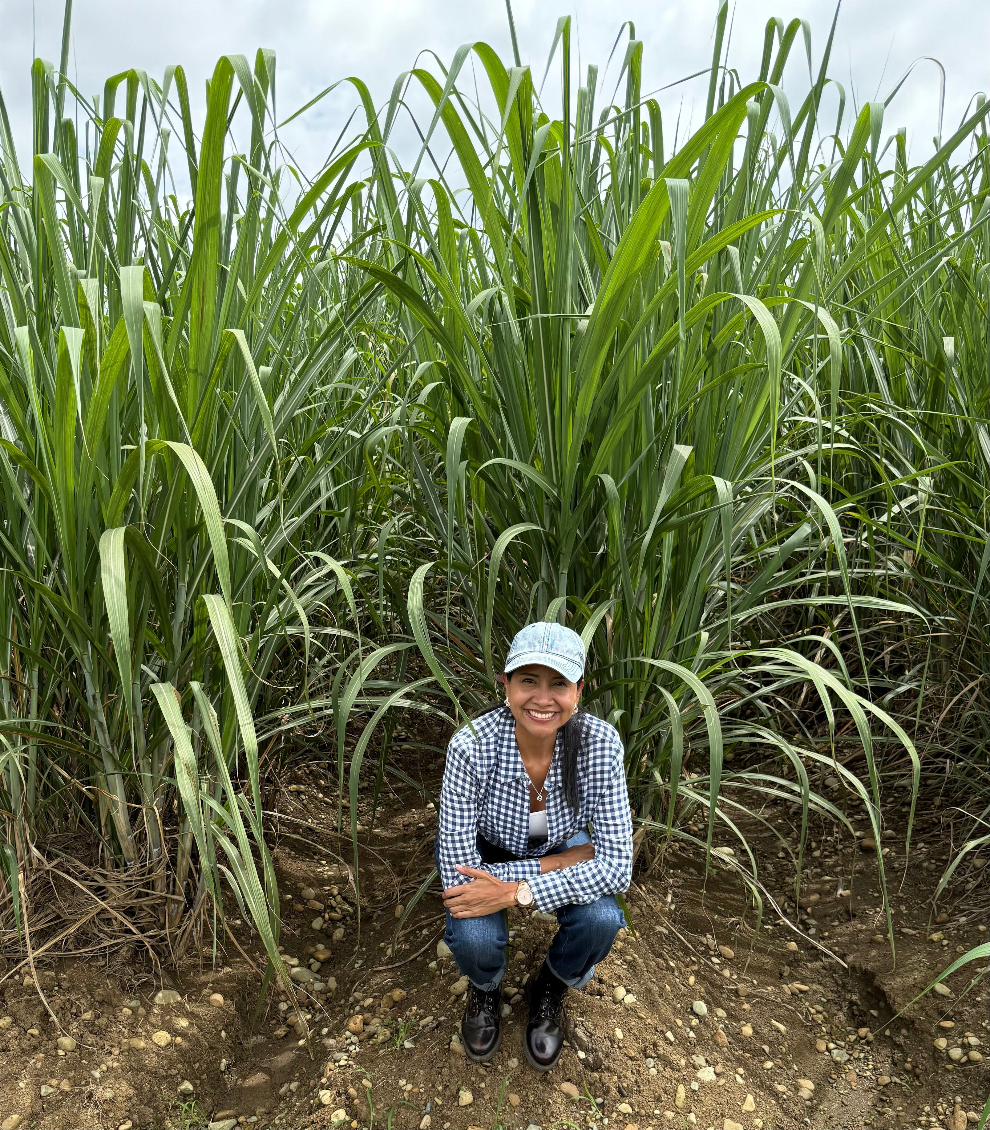 Una de las 25 científicas más influyentes de América Latina es valluna ...