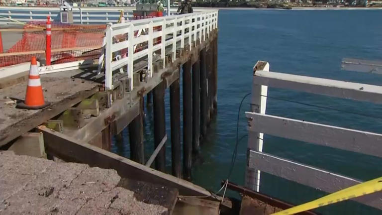 Investigators probe deadly Santa Cruz Wharf vehicle plunge