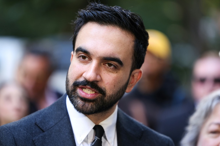 Is New York's Mamdani the future of US Democrats?