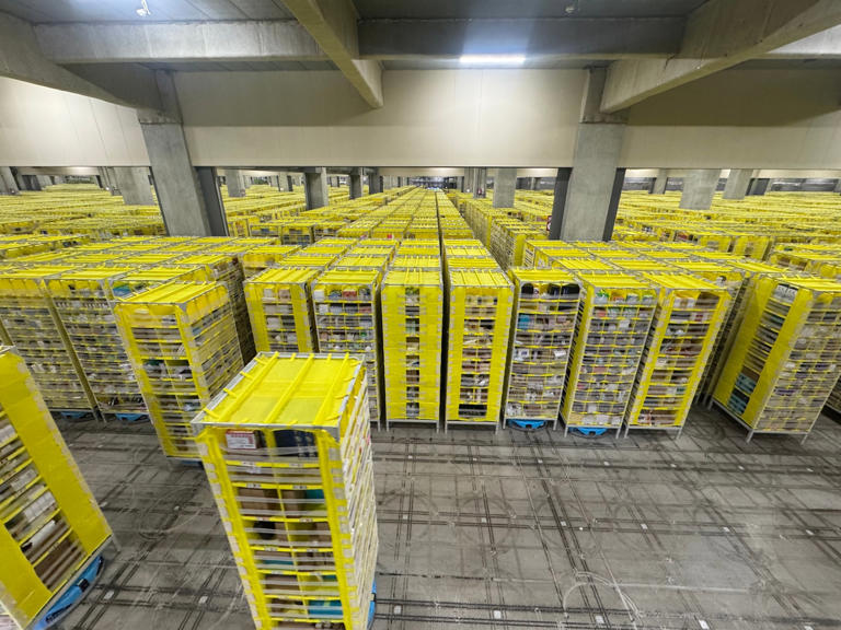 The man behind Amazon's robot revolution