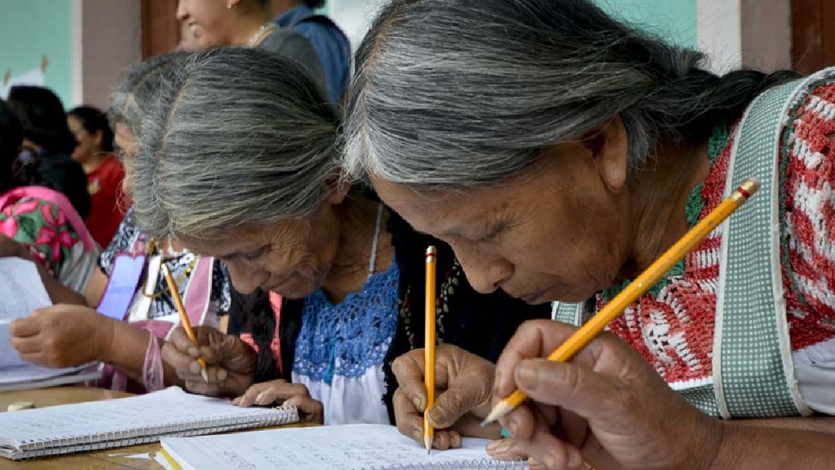 Treinta y un mil coahuilenses todavía son analfabetas; Coahuila, primer ...