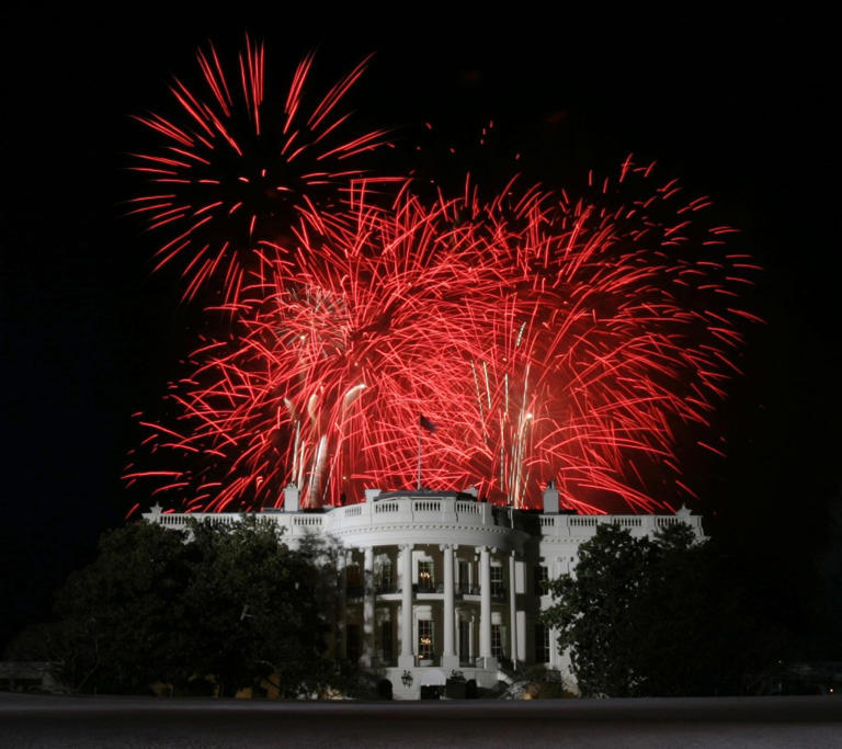 Japan donates 250 cherry trees, fireworks for Trump’s DC refresh after ...
