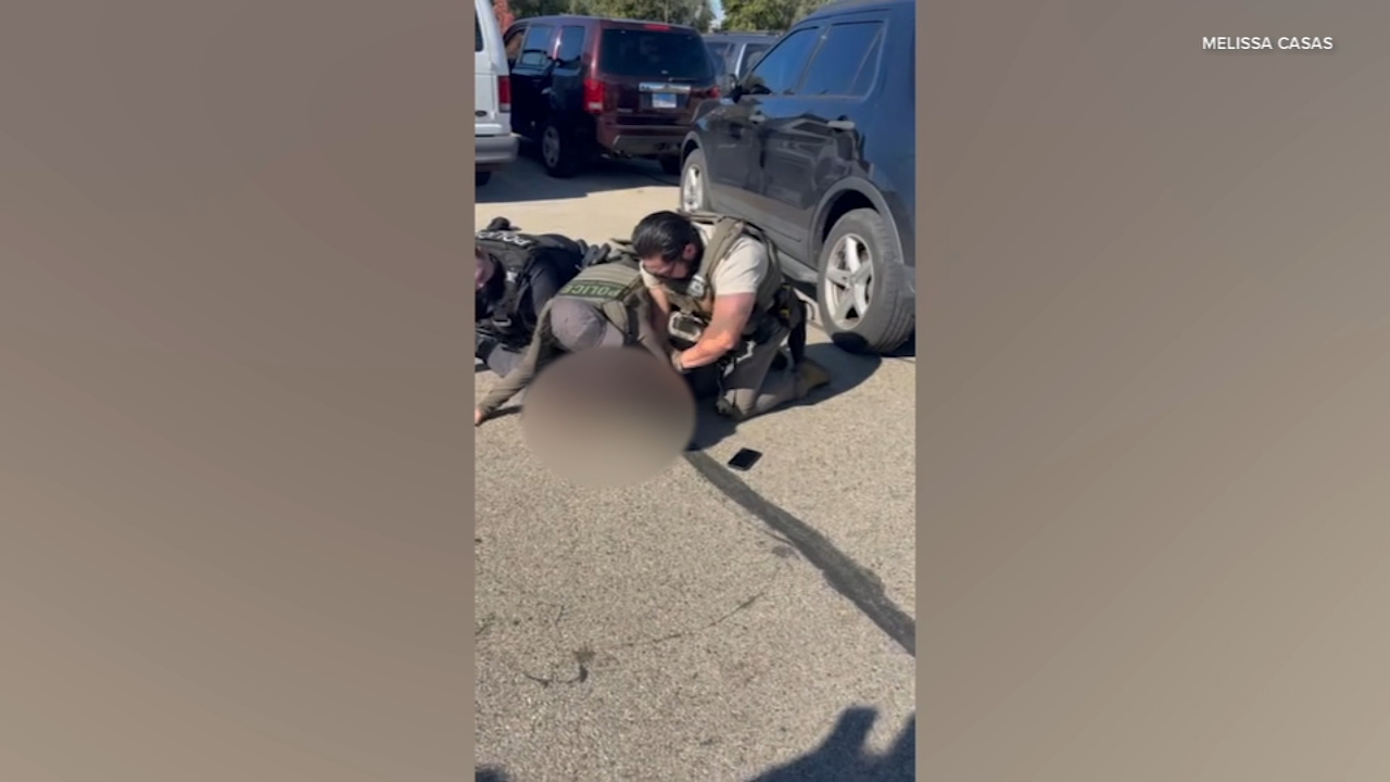 Palatine police officer helps federal agents detain someone, department ...