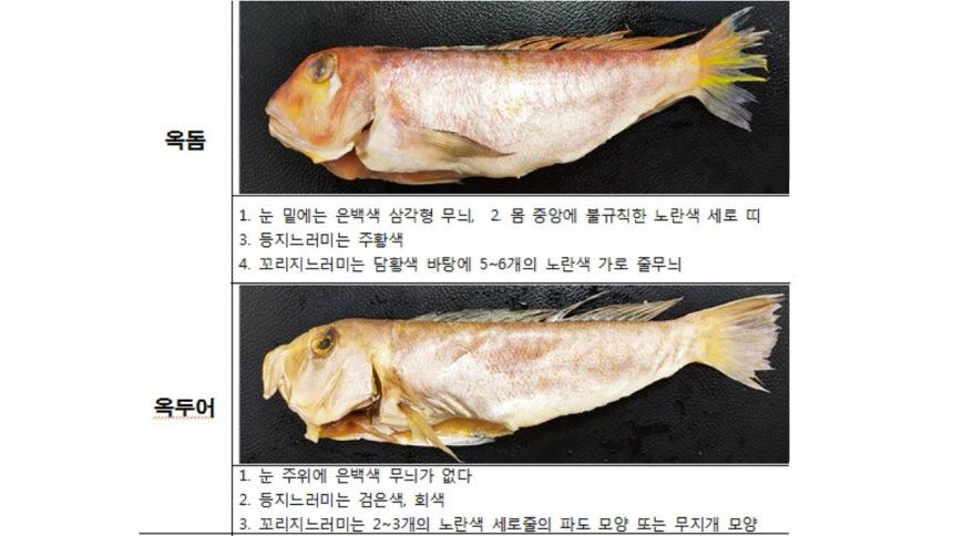 Jeju Restaurant Owner Sentenced for Passing Okdu-eo as Okdom