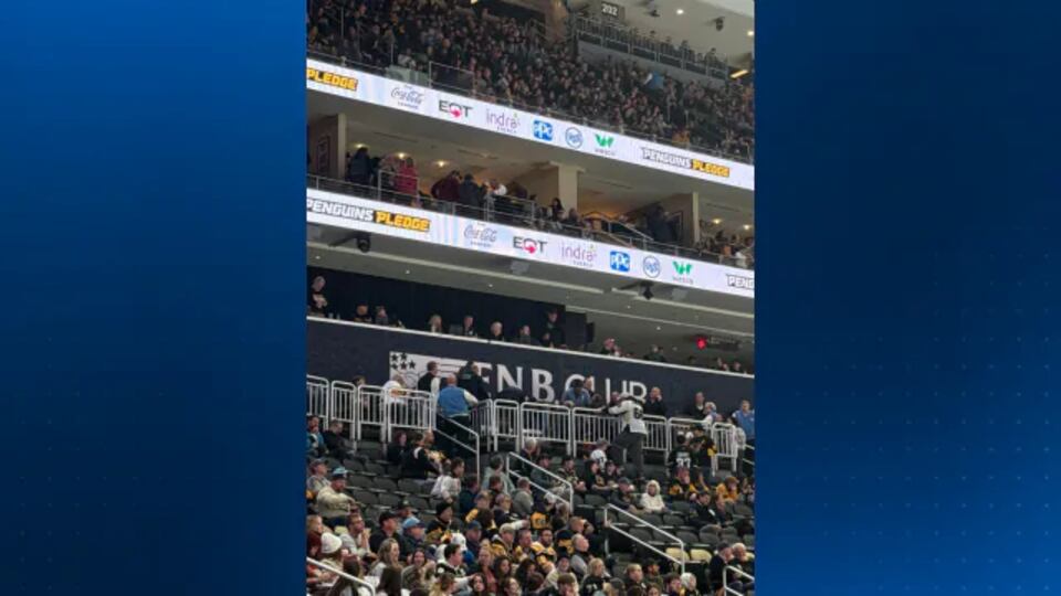 Man falls from upper deck of PPG Paints Arena, sustains ‘life ...