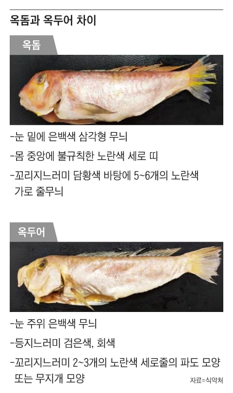 Jeju Owner Sentenced for Passing Okdu-eo as Okdom