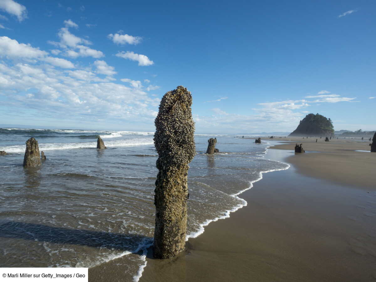 Un déchirement silencieux: la "mort" d'une zone de subduction observée ...