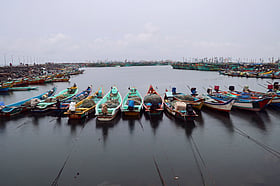 Cyclone 'Montha' updates: Andhra, Odisha on high alert as system ...