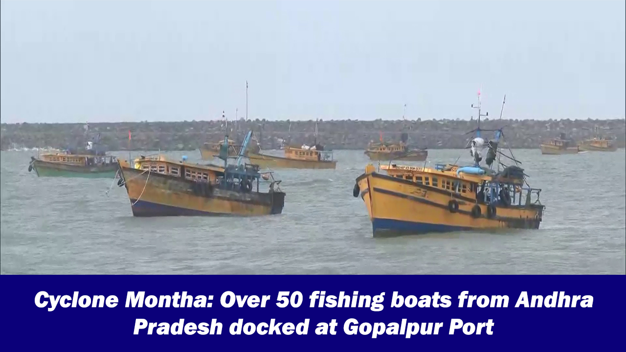 Cyclone Montha: Over 50 fishing boats from Andhra Pradesh docked at ...