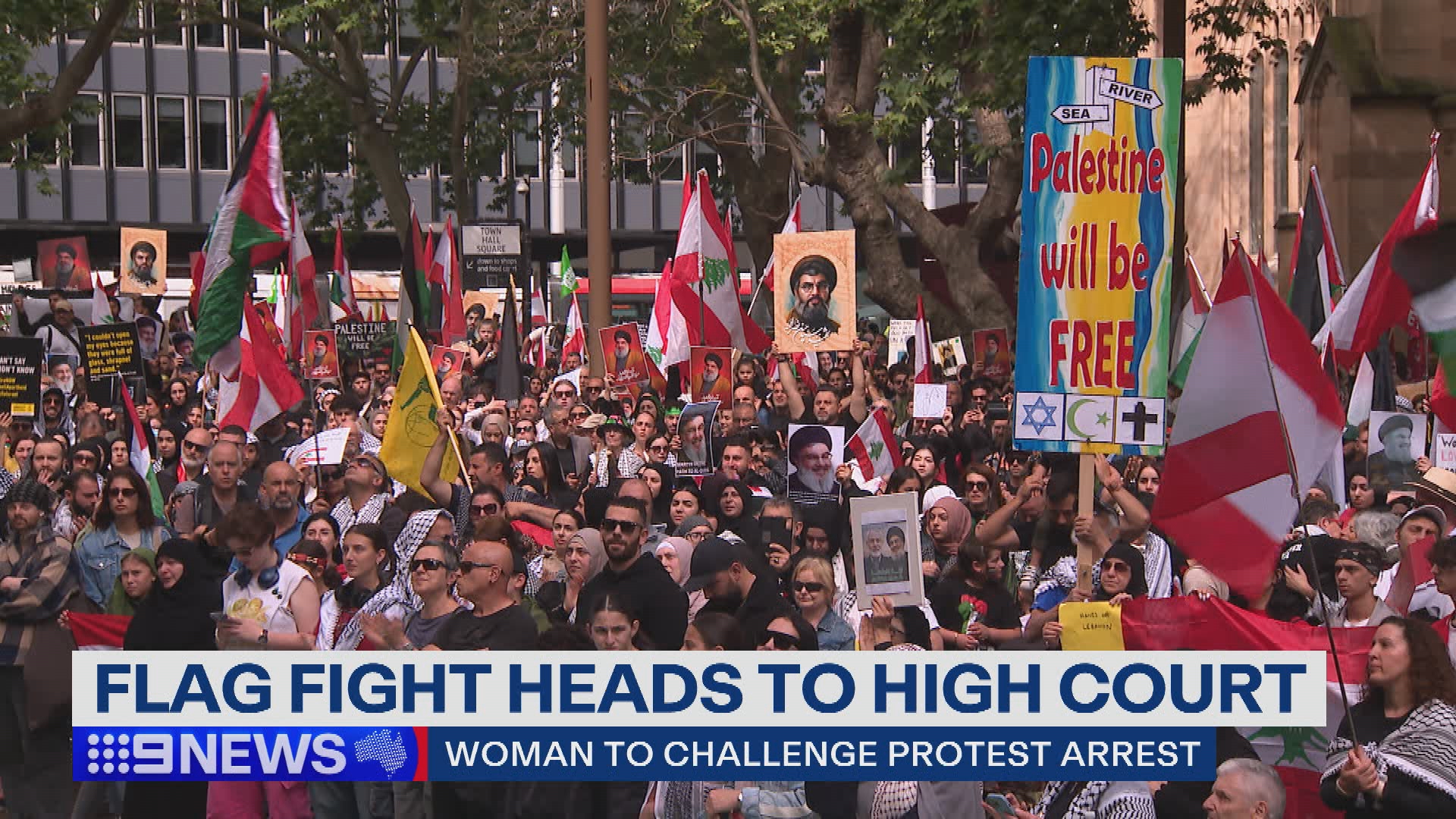 Top court fight looms over woman's terror flag charge