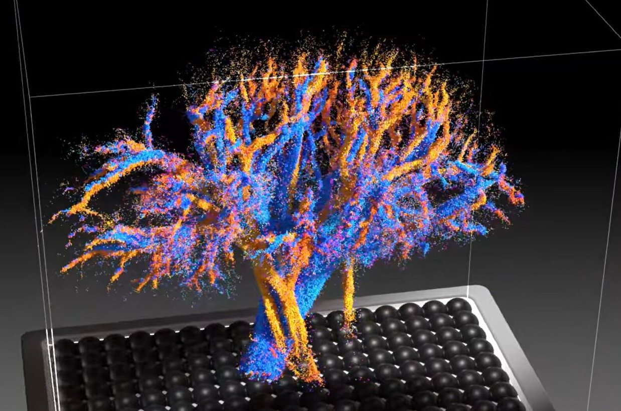 Ultrasound probe can image an entire organ in 4D