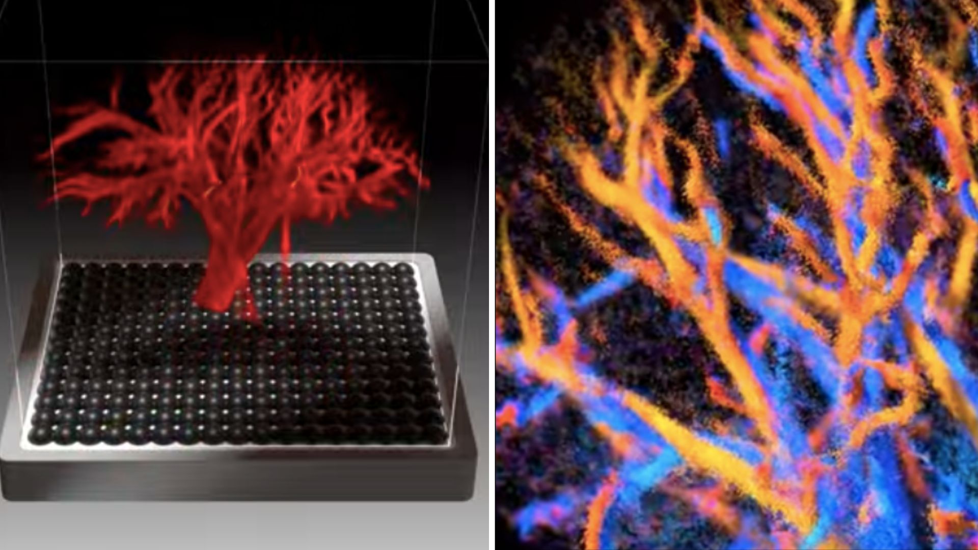 Video: Science fiction–style 4D ultrasound breakthrough reveals full ...