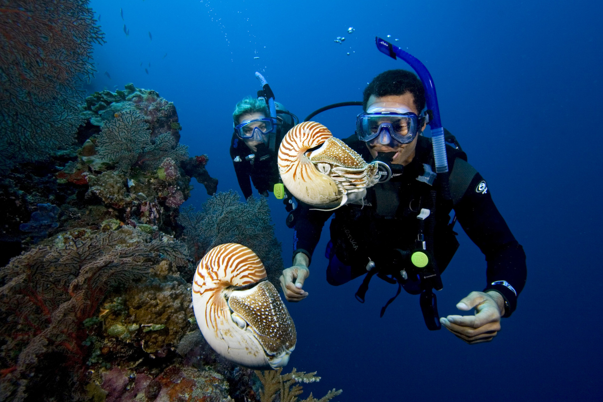 Most popular diving locations in the world