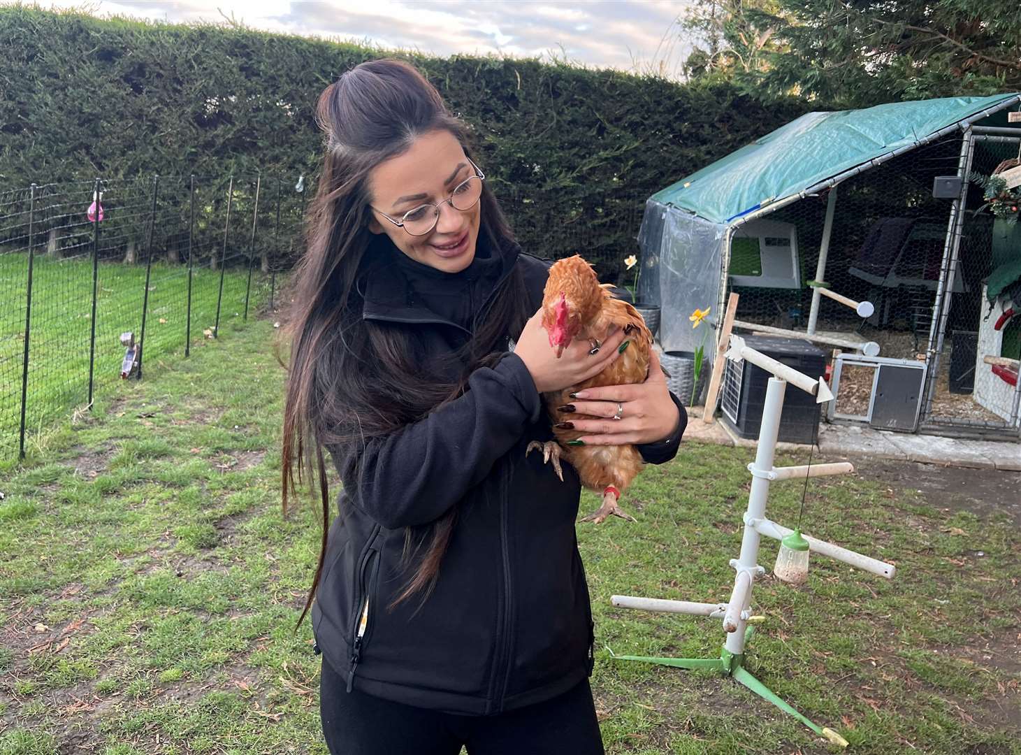 Bird flu confirmed at site near Newington, Sittingbourne, with 3km ...