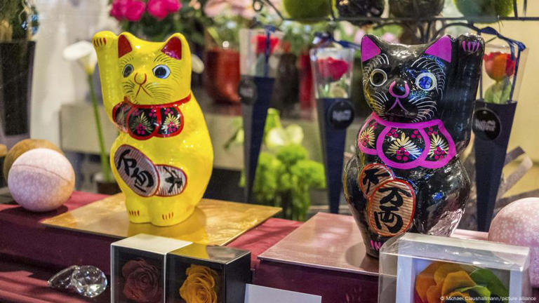 The many mysterious meanings of black cats