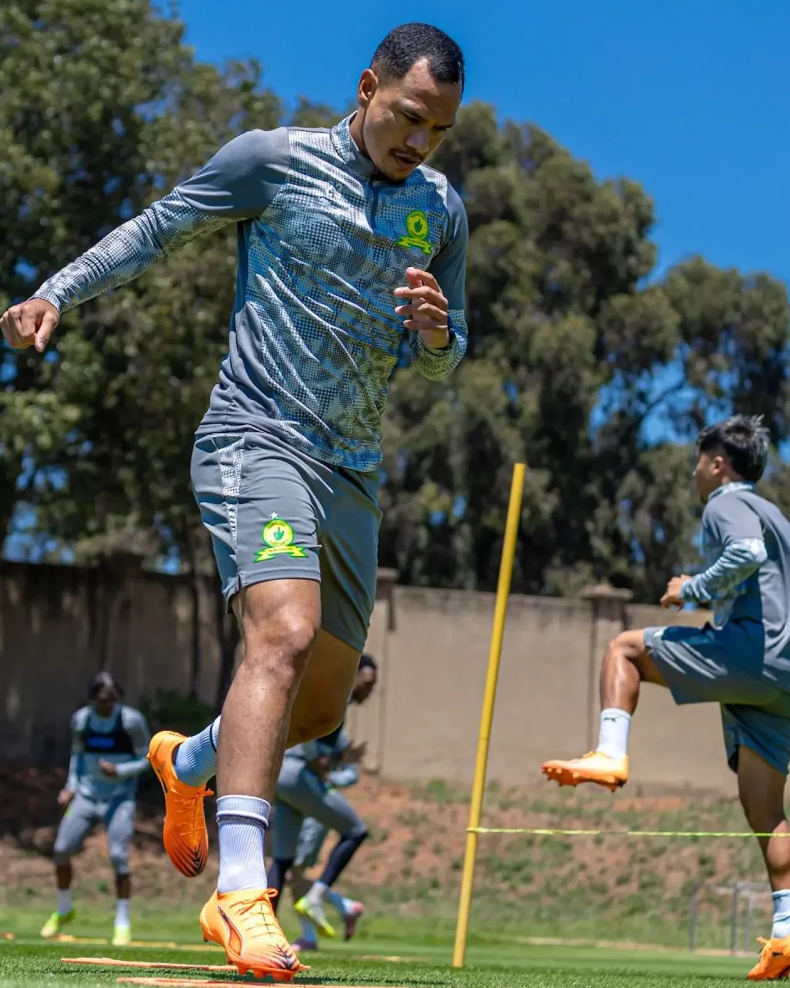 Miguel Cardoso gives report on Mamelodi Sundowns new signings