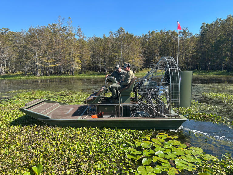 'Keep it as it is': Miccosukee seek to protect North Florida homelands ...
