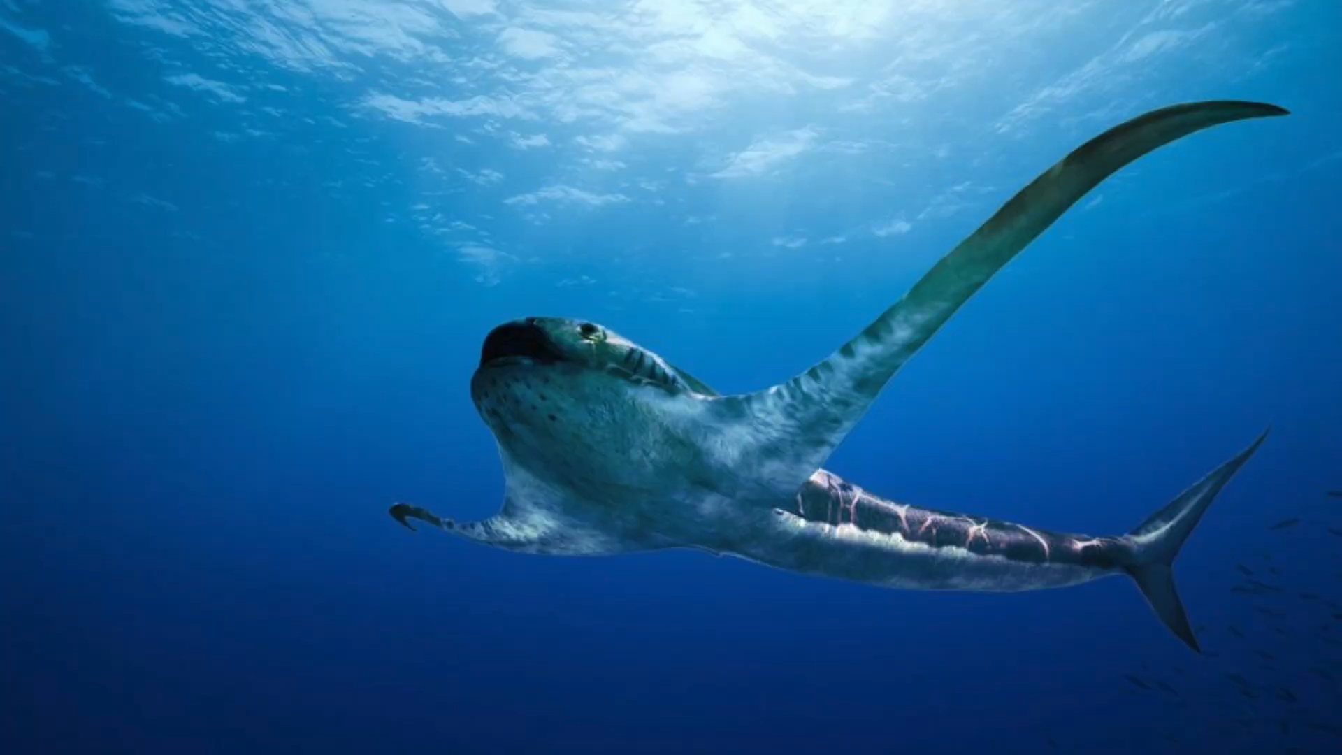 93 million year old flying shark of the sea