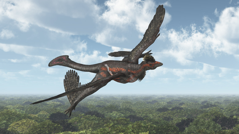 One Of The Smallest Dinosaurs To Ever Exist Had Wings In An Unexpected ...